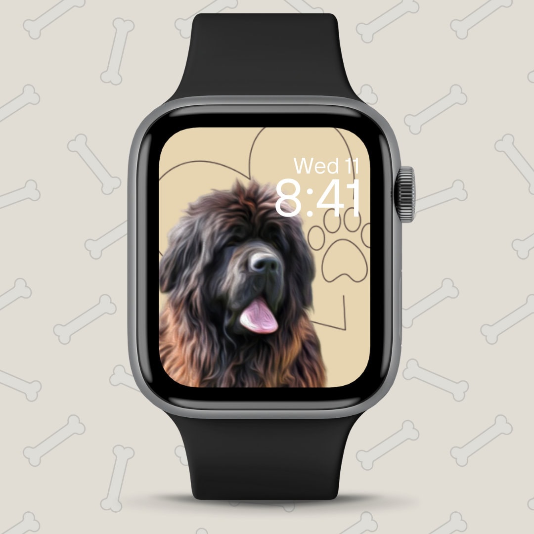 Newfoundland Apple Watch Background Dog Apple Watch Wallpaper Newfie ...