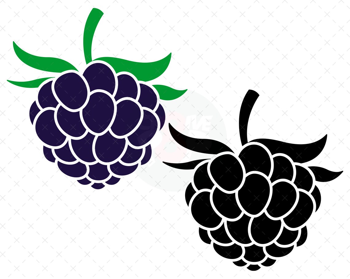 Berry Svg, Fruit Svg, Fruit Png, Berry Png, Berry Clipart, Svg Files ...