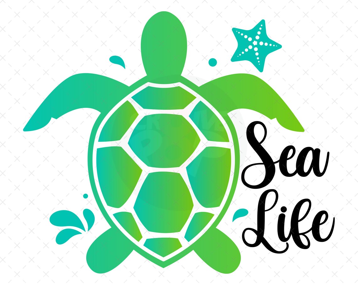 Sea Life Svg, Turtle Svg, Turtle Png, Ocean Svg, Under the Sea Svg ...