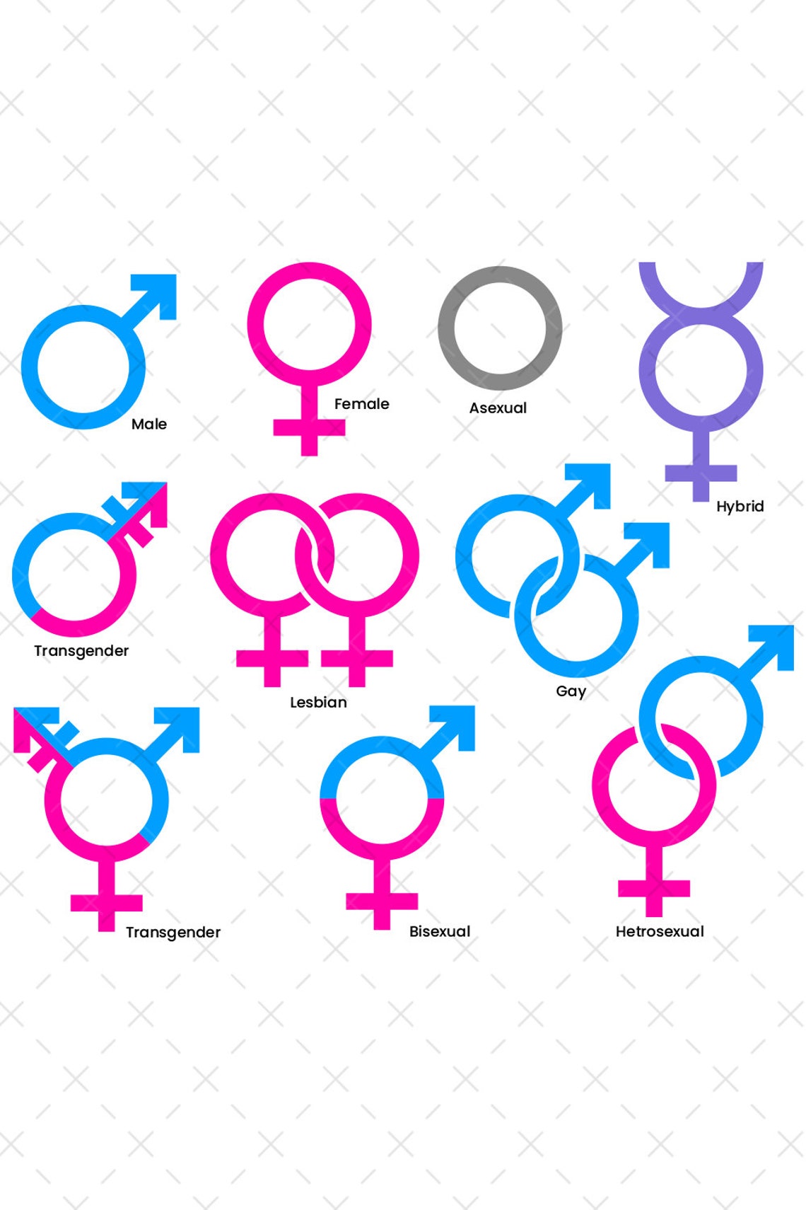 Gender Reveal Svg, Male Svg, Female Svg, Bisexual Svg, Asexual Svg ...
