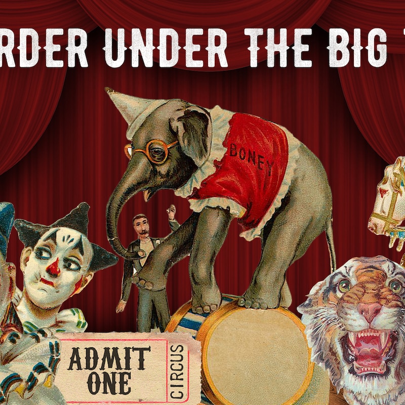 Circus Big Top - Etsy