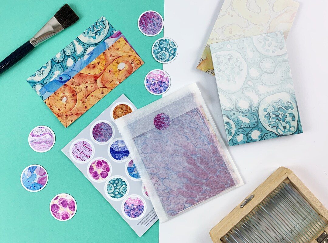 Big Histology Stationery Set colourful: Postcards, Magnets, Bookmarks ...