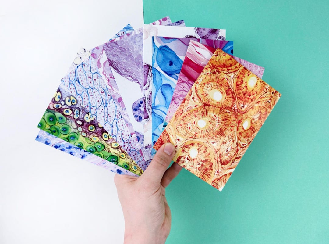 Watercolor Histology Postcard Set: Colorful Histology & Pathology – 10 ...