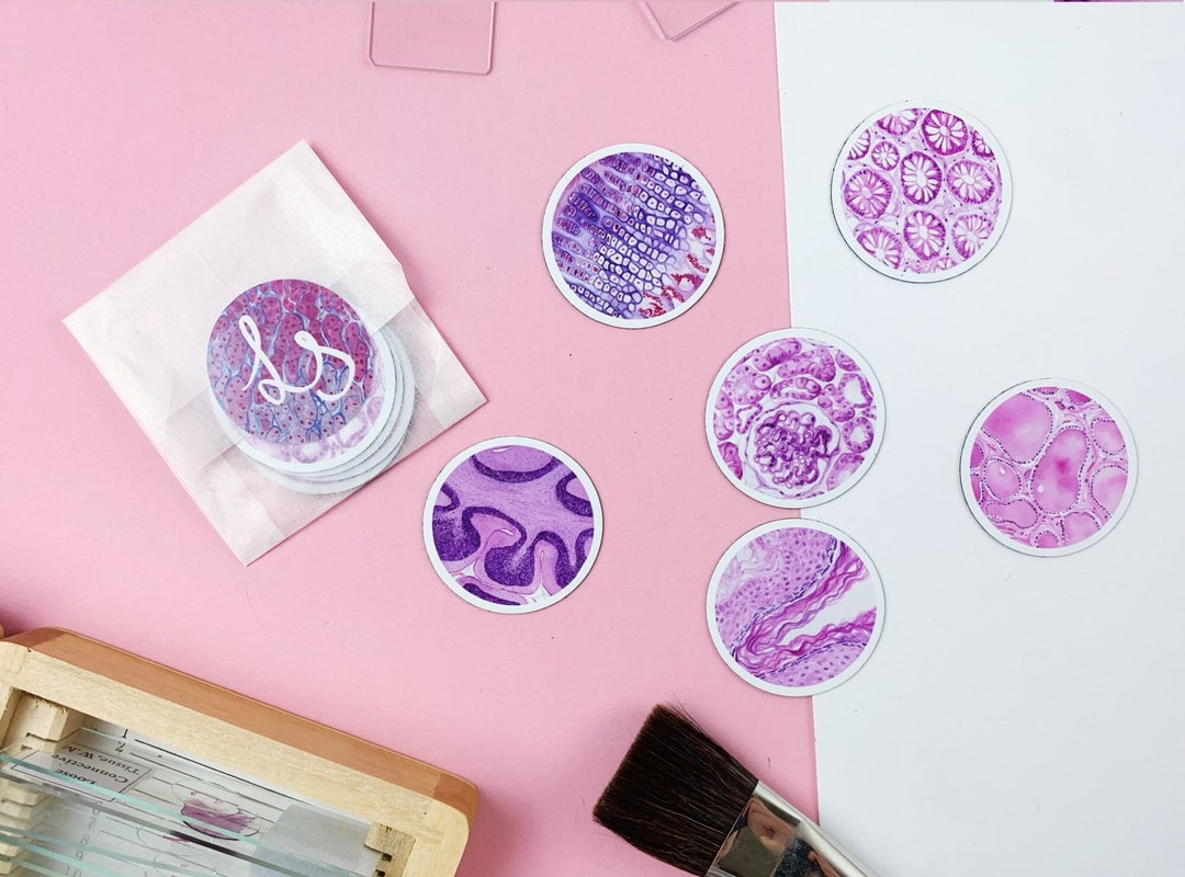 Magnet Set: 6 Pieces From the "pretty in Pink" Series - Etsy