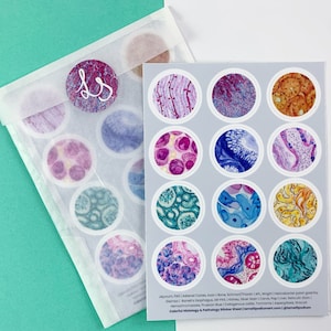 Histology&pathology Watercolor Stickersheet With 12 Matte Stickers - Etsy