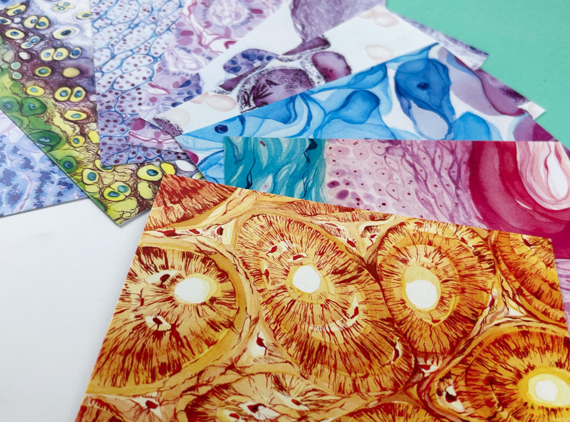Watercolor Histology Postcard Set: Colorful Histology & Pathology – 10 ...