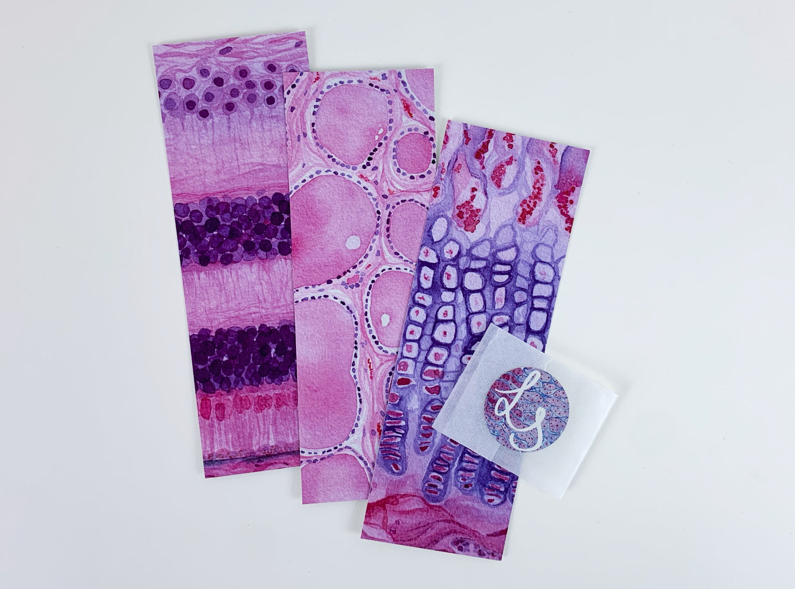 Histology Watercolor Bookmark-set 3 Pieces: pretty in - Etsy
