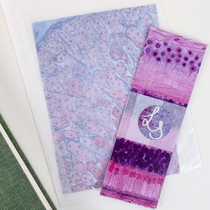 Histology Watercolor Bookmark-set, 3 Pieces: "pretty in Pink" Series - Etsy
