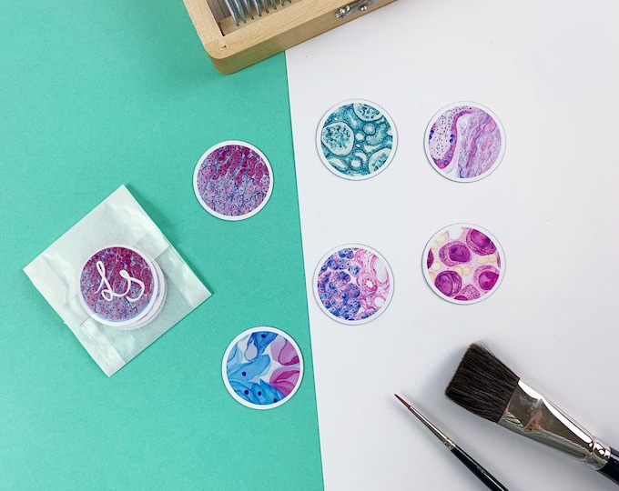 Magnet Set: 6 Pieces From the colorful Histology&pathology Series - Etsy