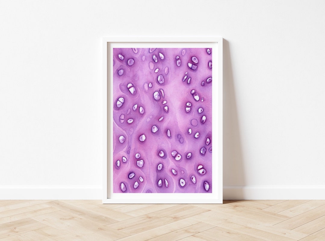 Histology Art Print: Hyaline Cartilage, H&E Stain - Watercolorart - Etsy