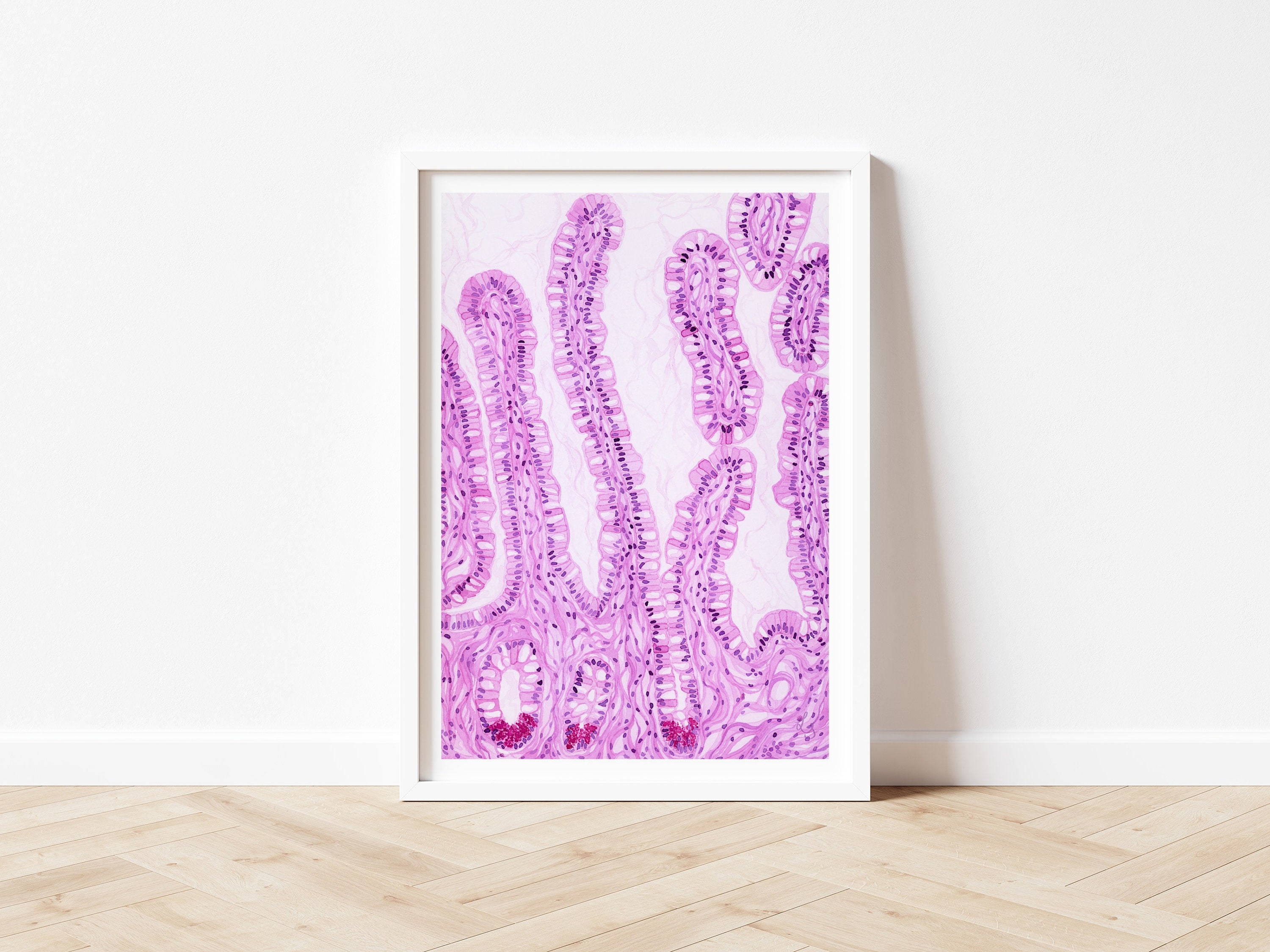 Histology Art Print: Ileum, H&E Stain - Watercolorart - Etsy