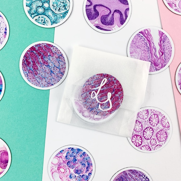 Histology Watercolor - Etsy