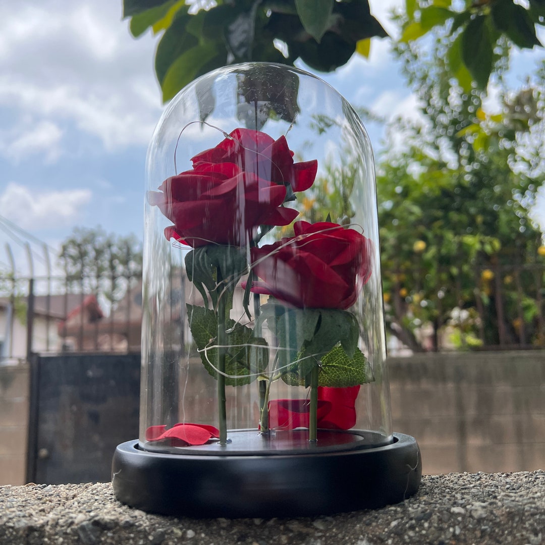 Black Rose on Glass Dome With Led Lights, Valentine’s Day Gift, Teacher ...
