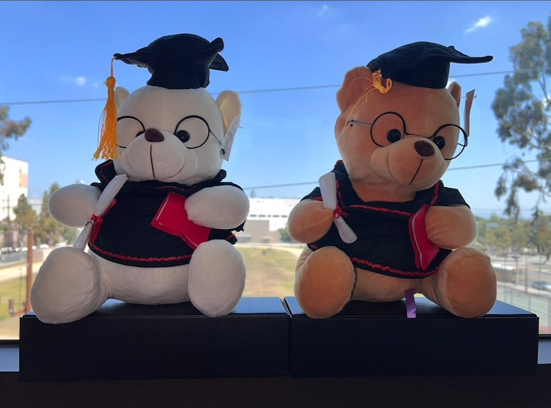 Custom Graduation Bear Class 2023 Personalized Bear Senior - Etsy