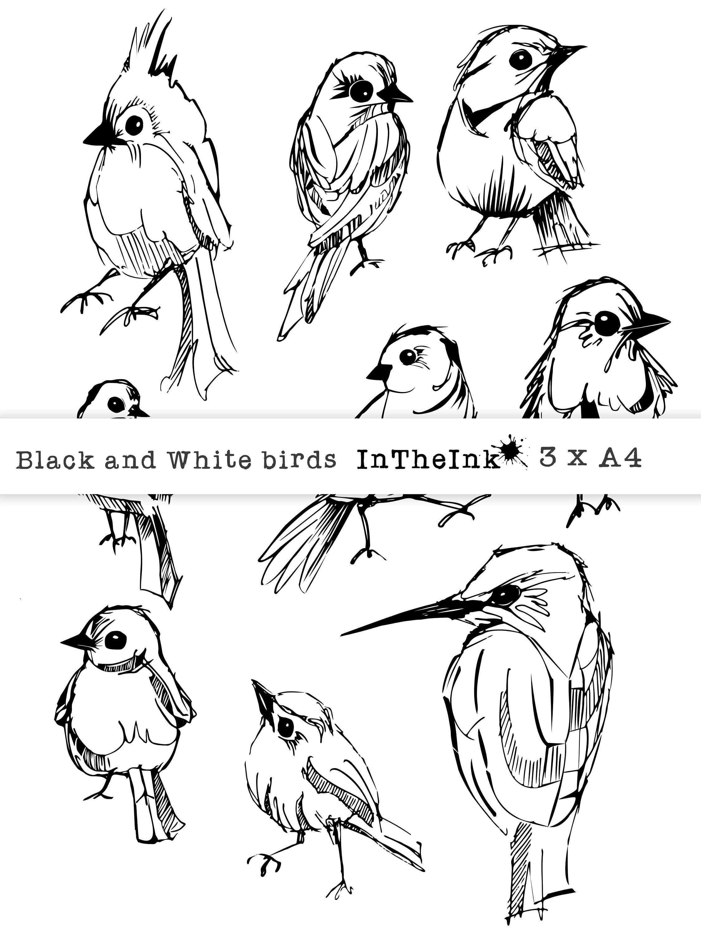 Cute Black & White Birds. Printable Collage Sheet, Digital Collage ...