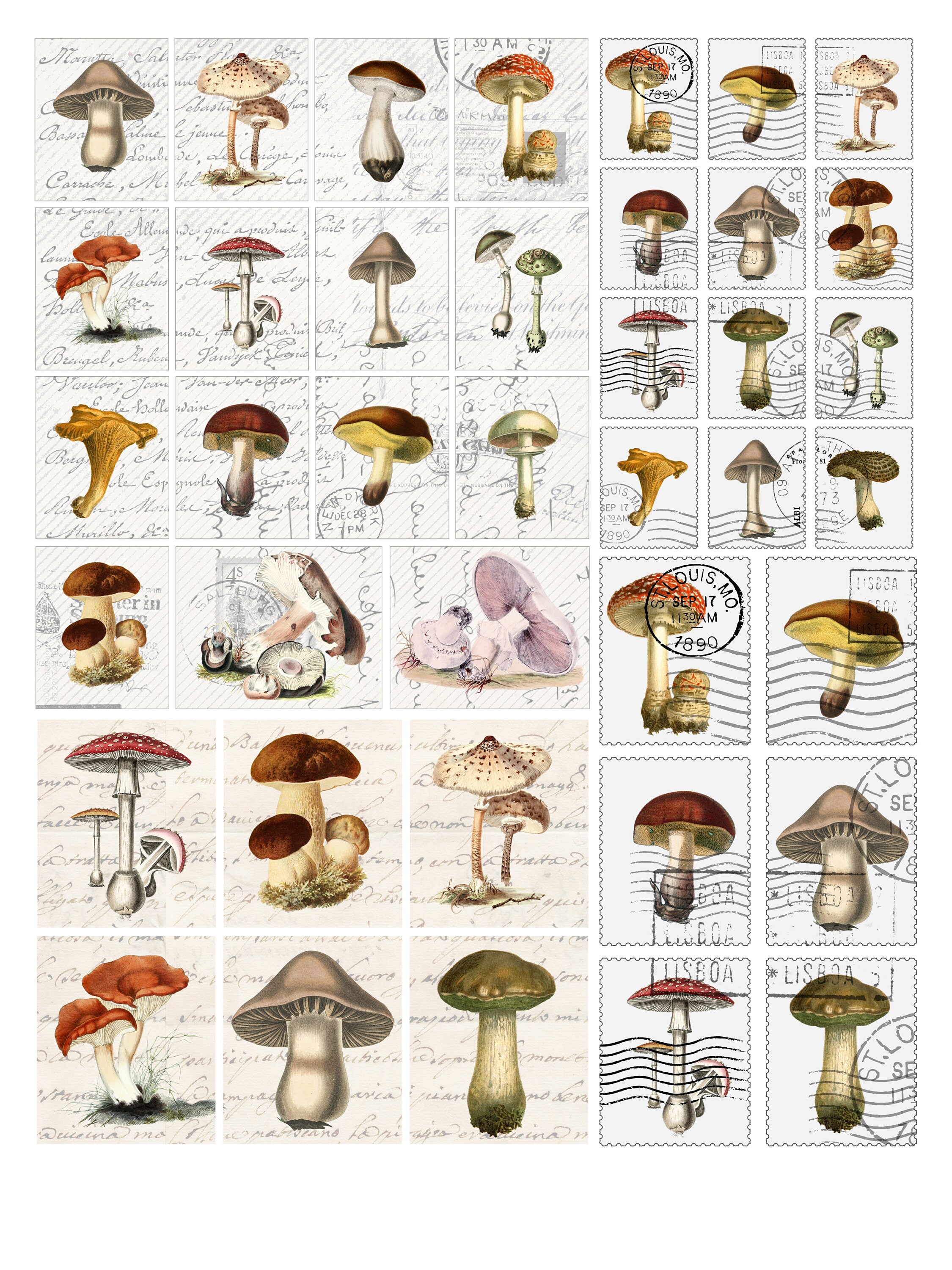 Vintage Mushrooms. Printable Collage Sheet, Digital Collage Sheet ...