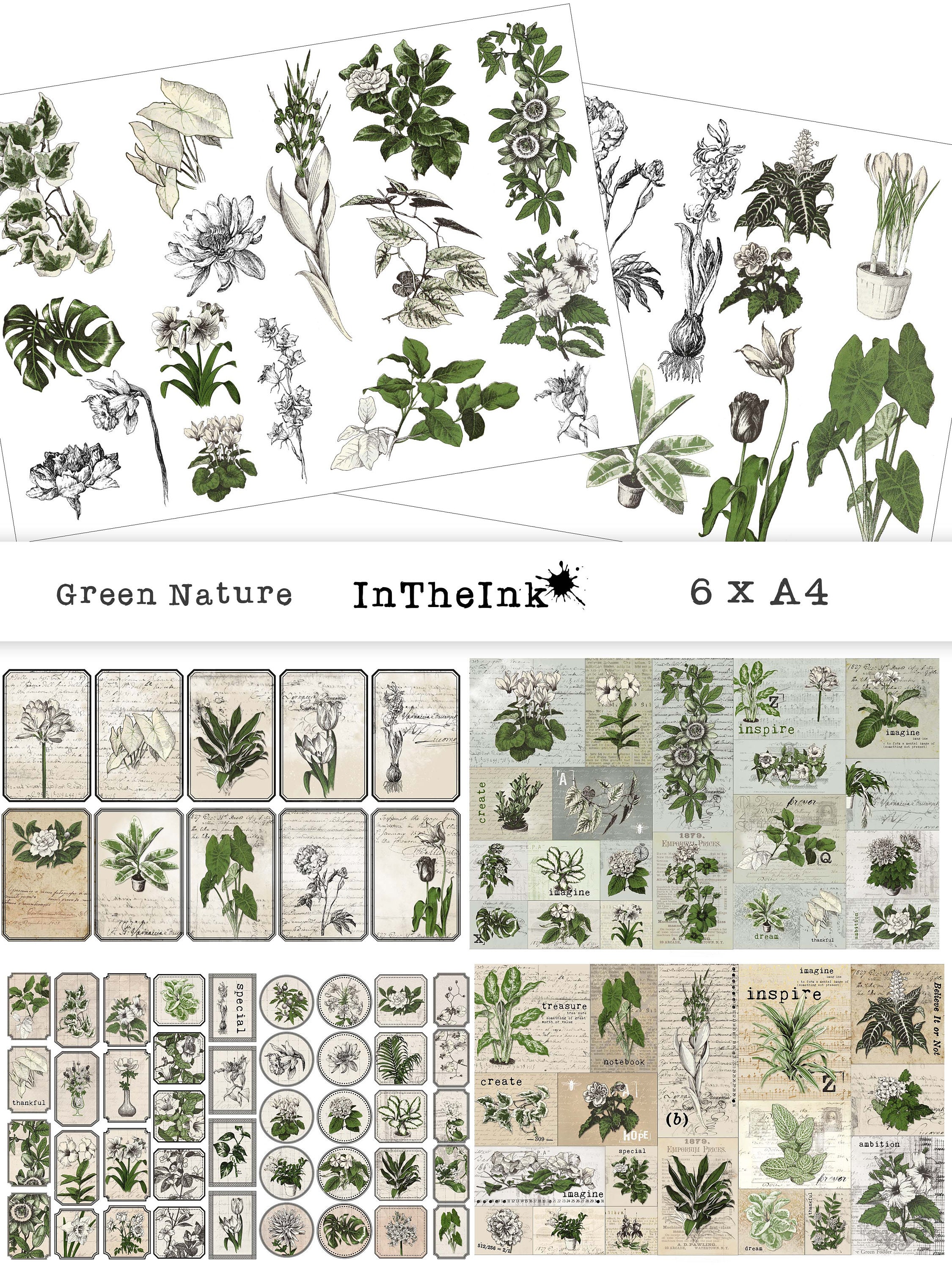 Green Nature, Printable Ephemera Kit, Stationary, Digital Printable - Etsy