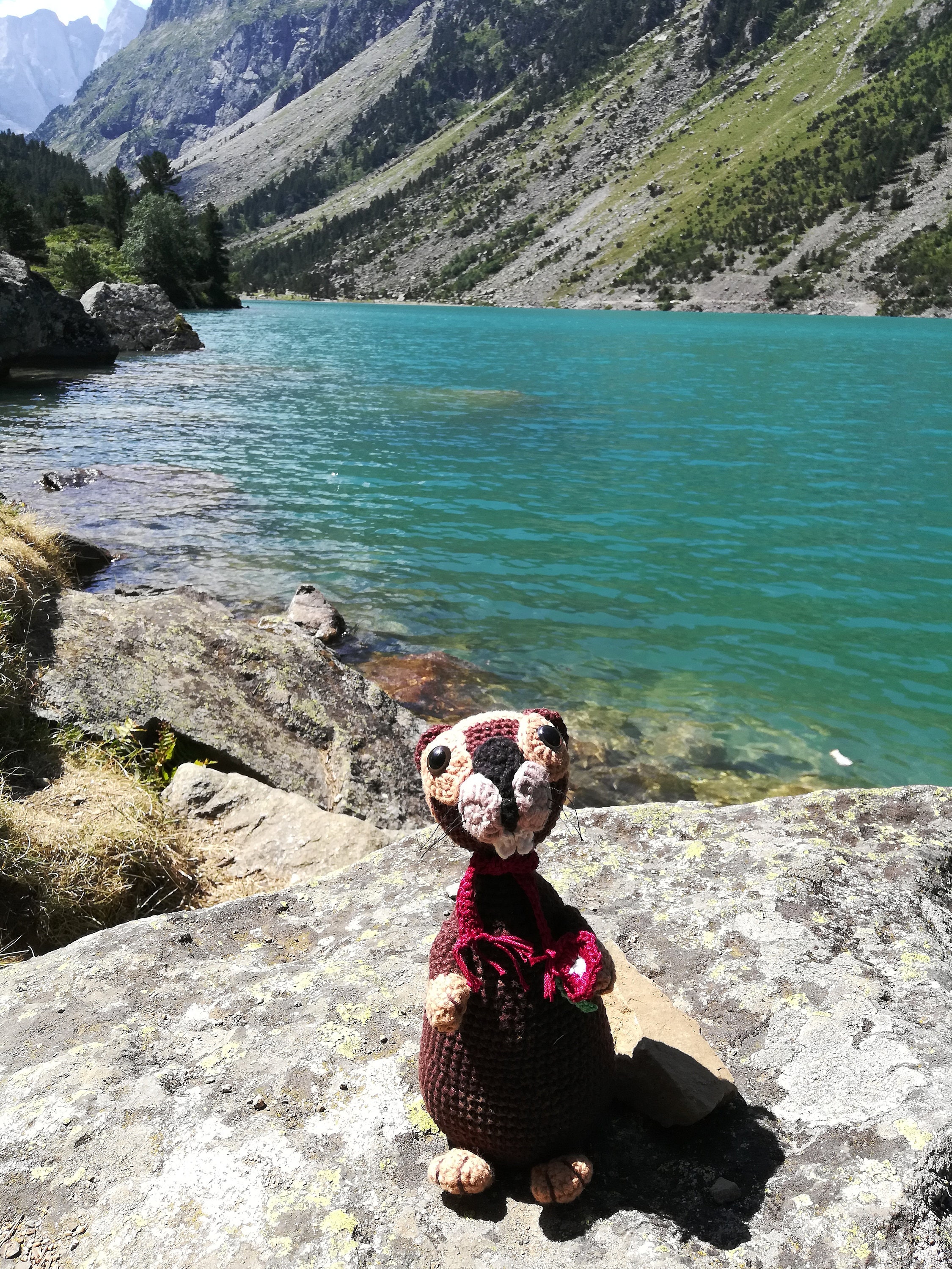 Géraldine the Marmot Amigurumi Pattern - Crochet PDF File - Etsy