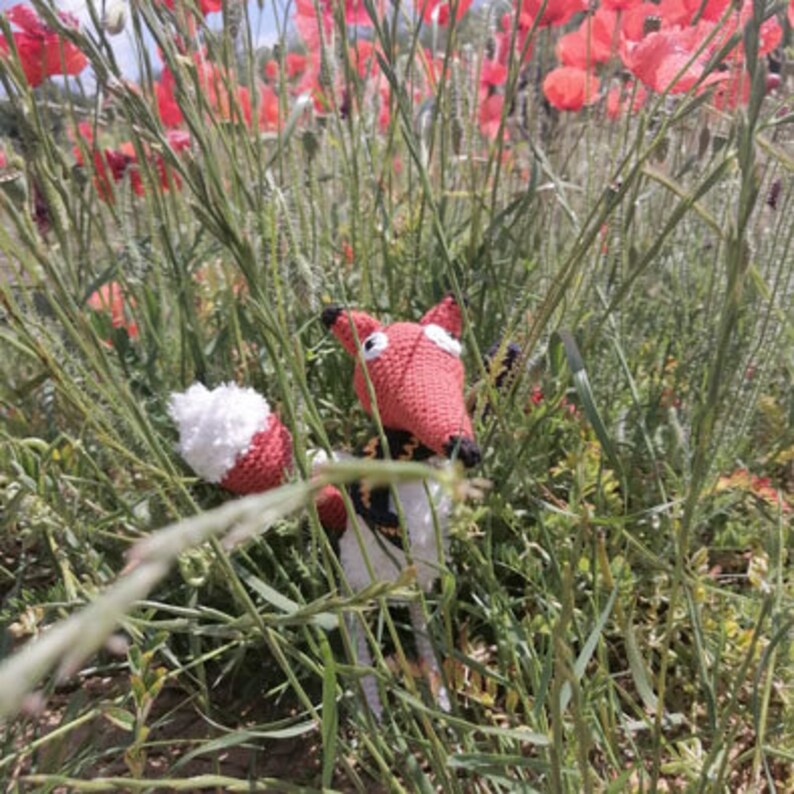 Emilio the Fox Amigurumi Pattern Crochet PDF File - Etsy