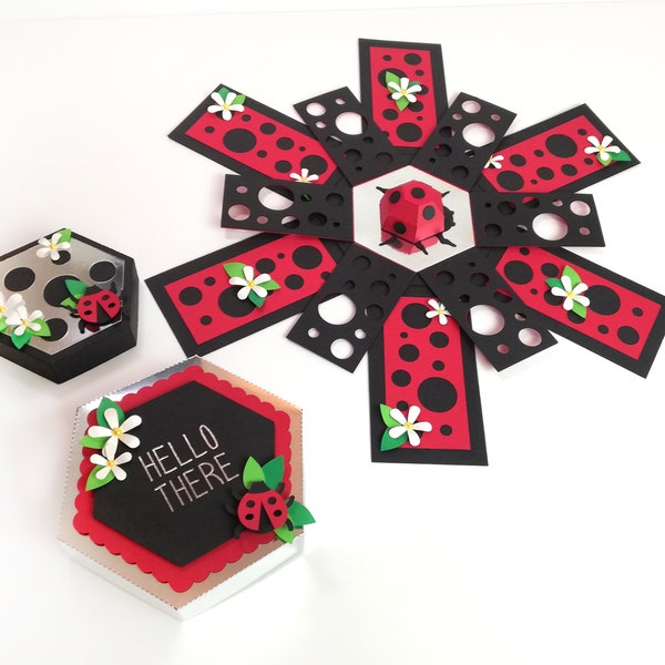 Exploding Box Svg - Etsy