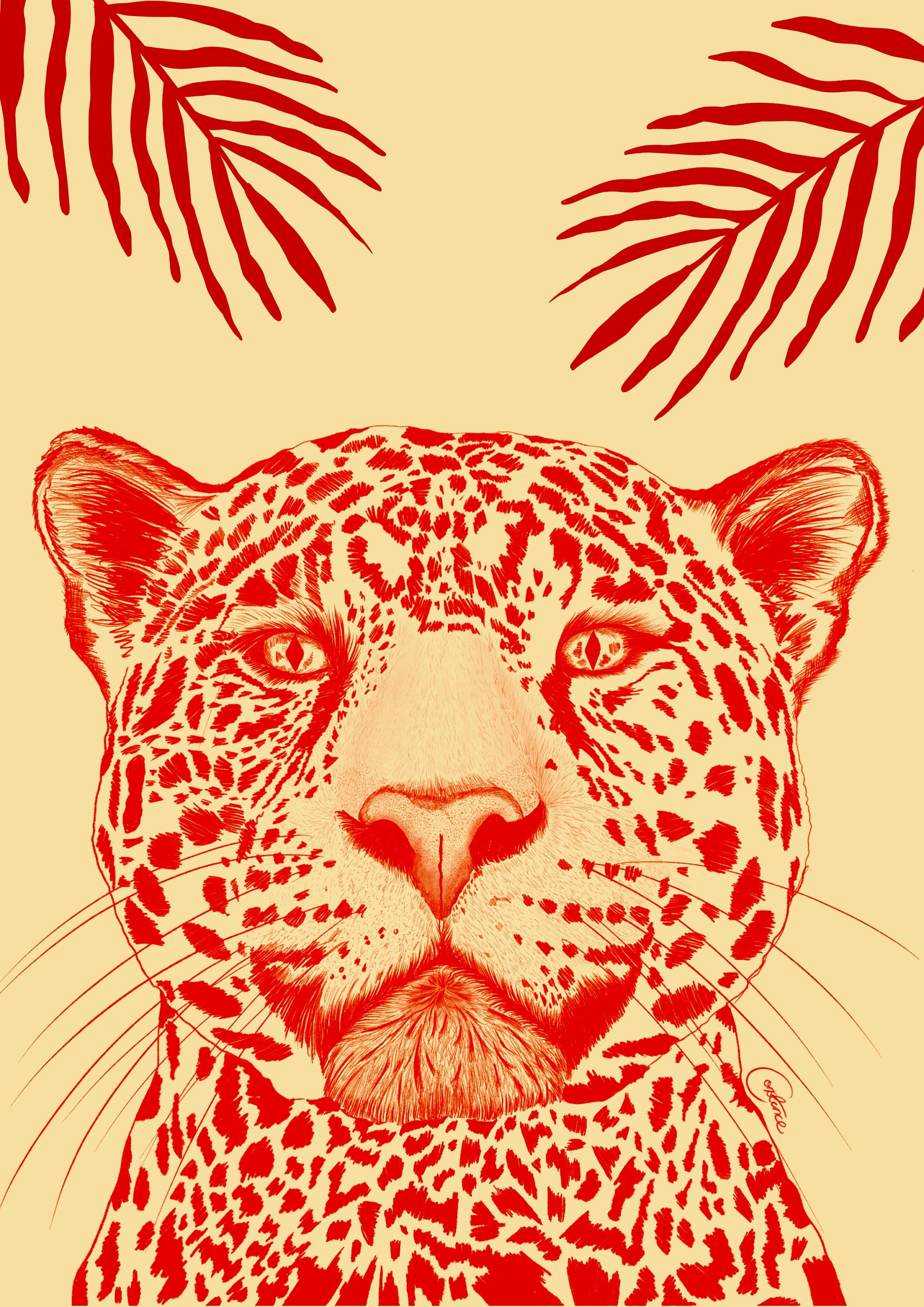 Jinx the Jaguar Ii, Fine Line Print, Wildlife Portrait Print - Etsy