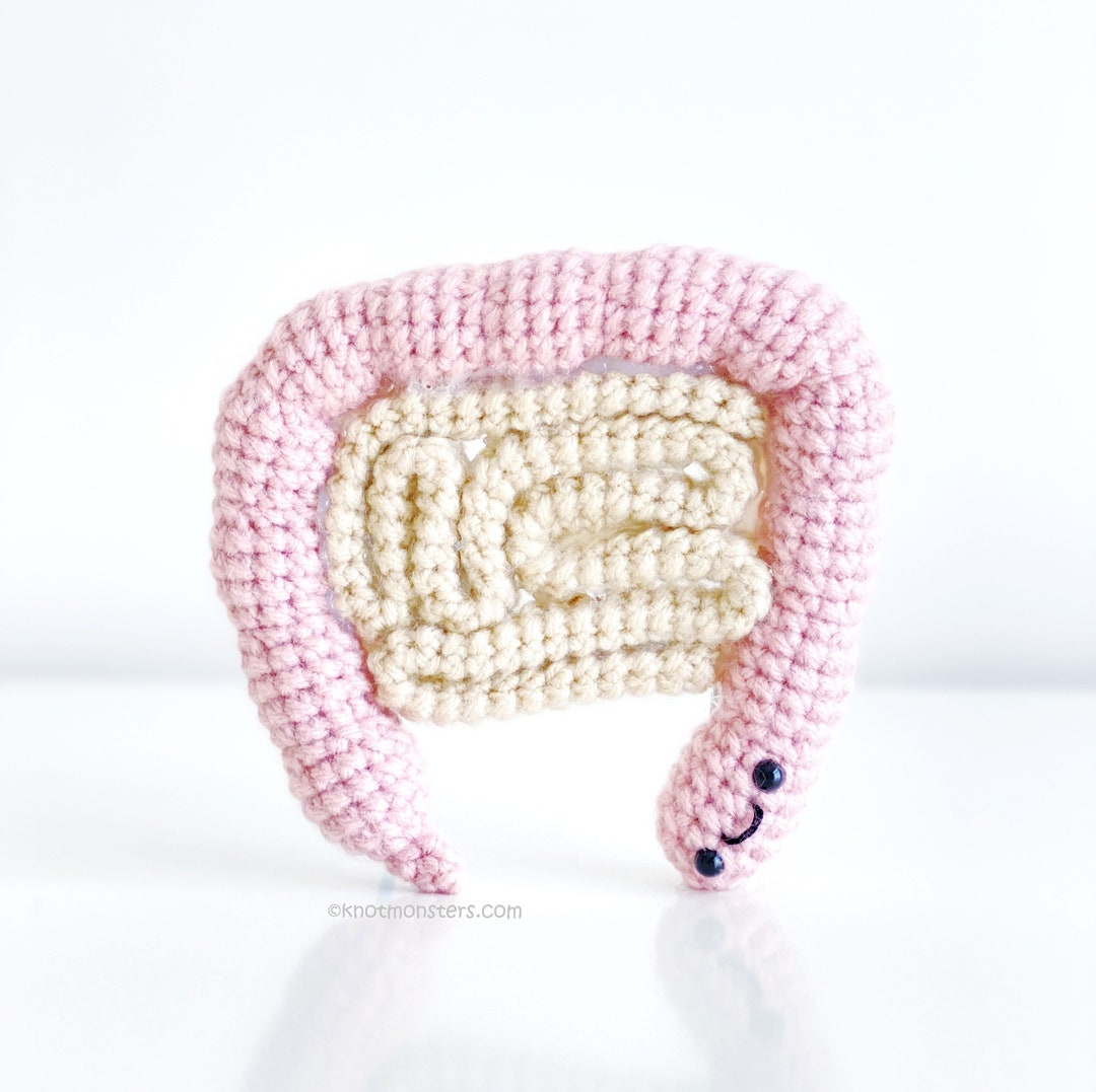 Anatomical Intestines Crochet Pattern! PATTERN ONLY Instant DOWNLOAD ...