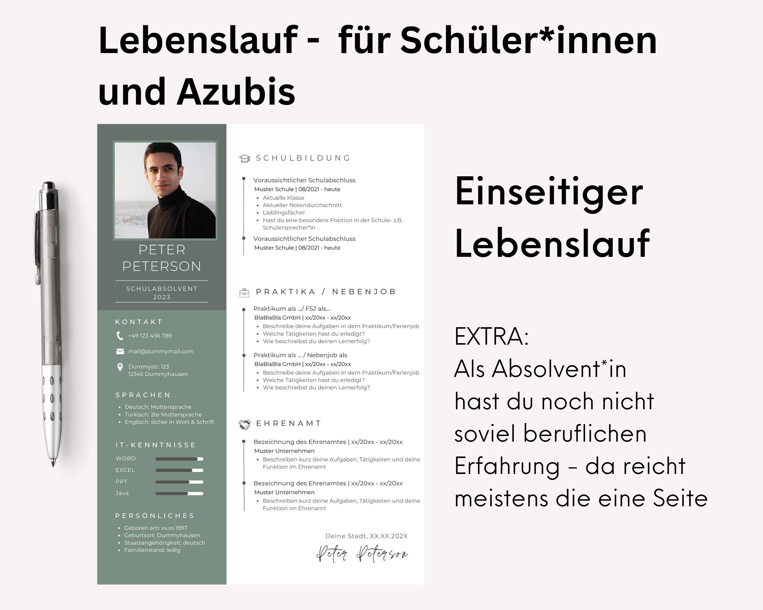 Application and CV Template German CV in Tabular Form Cover Letter ...