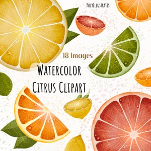 Watercolor Citrus Clipart, Lemon Fruit Illustration, Grapefruit Artwork ...