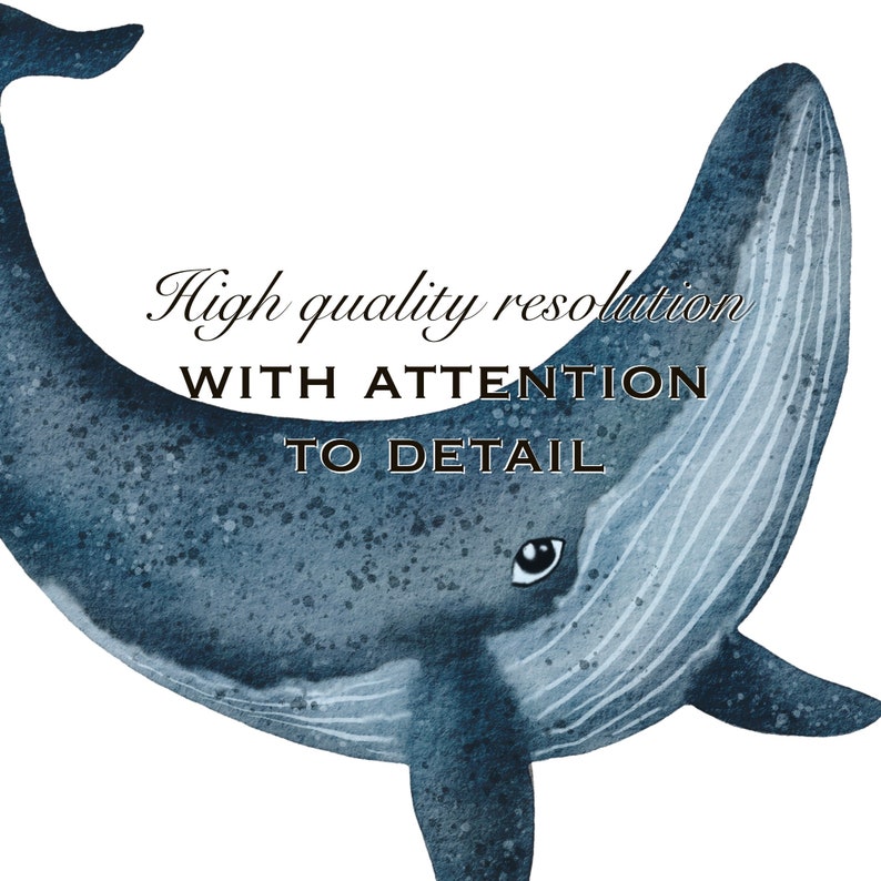 Watercolor Blue Whale Clipart, Marine Mammal Illustration, Ocean Animal ...