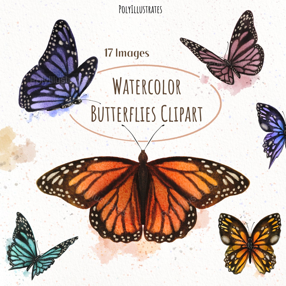Watercolor Butterfly Clipart, Butterflies Illustrations, Insects ...