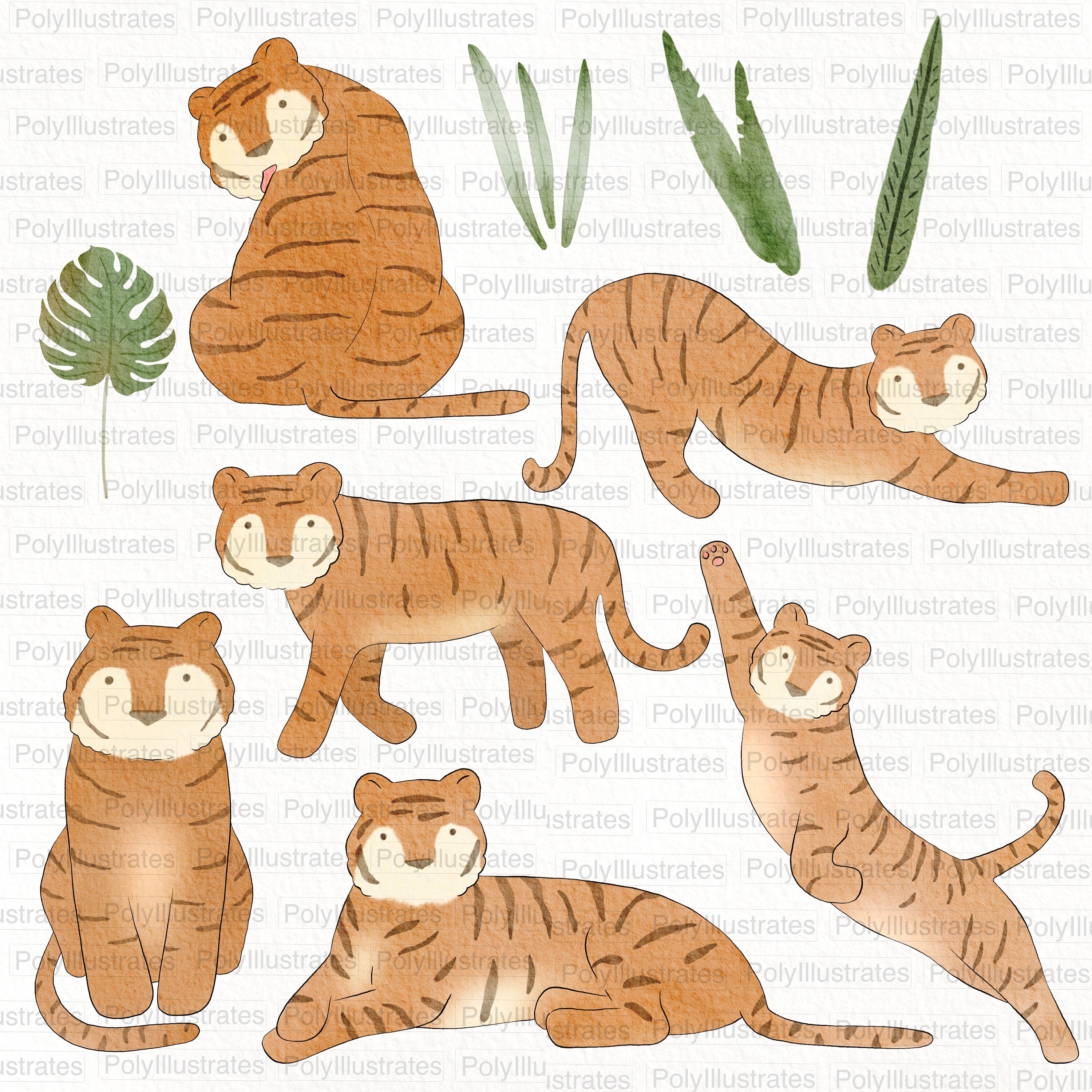 Watercolor Cute Tigers Clipart, Wild Cat Illustration, Bengal Tiger ...