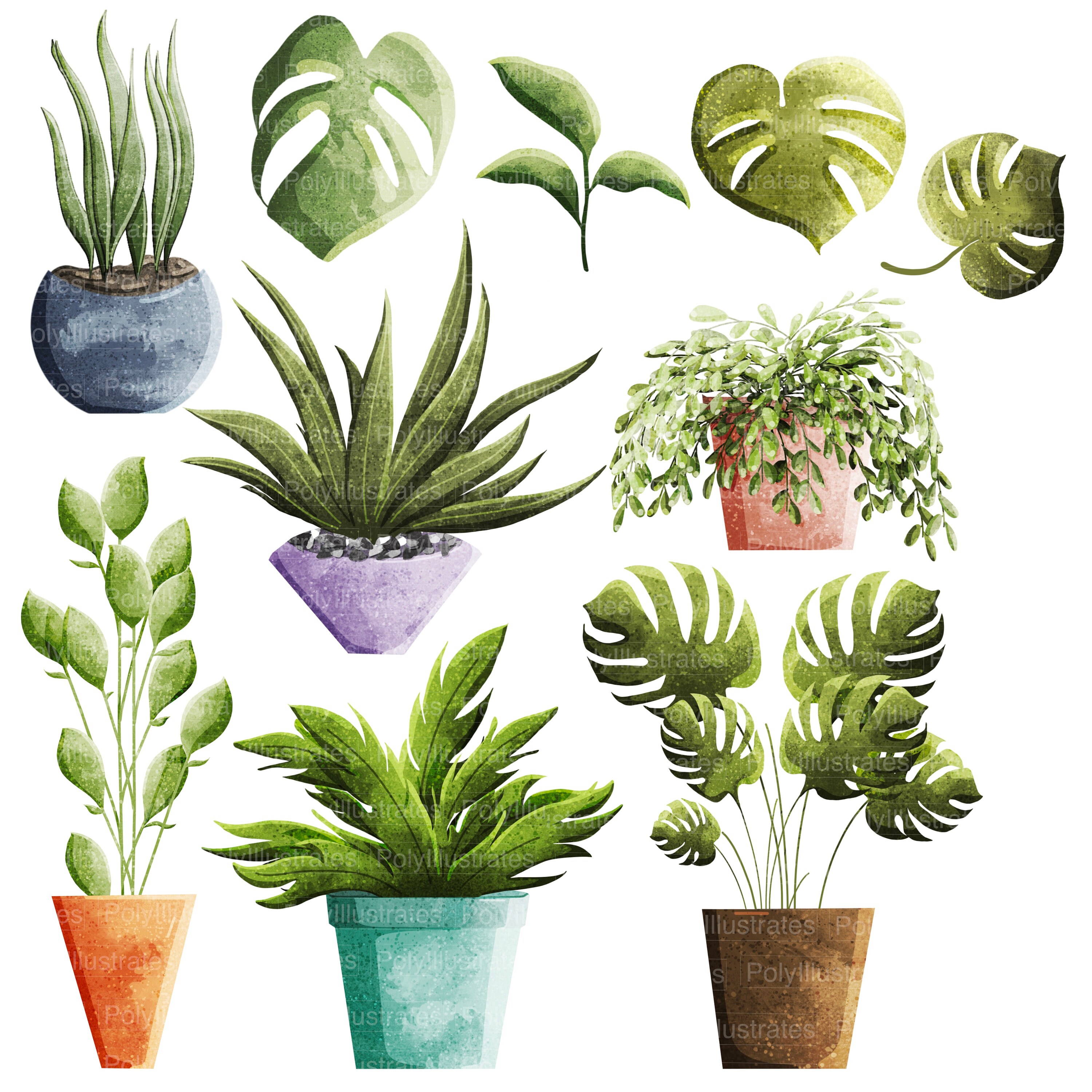 House Plants Clipart, Potted Plant Illustration, Monstera Leaf Artwork ...