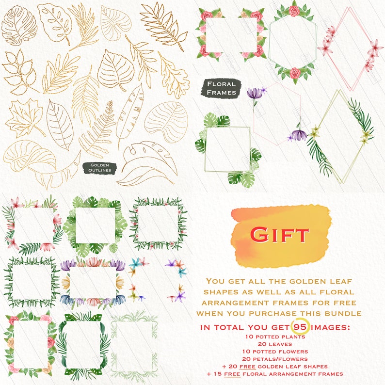 Watercolor Plants Flowers Clipart, Floral Artwork Set, House Plants ...