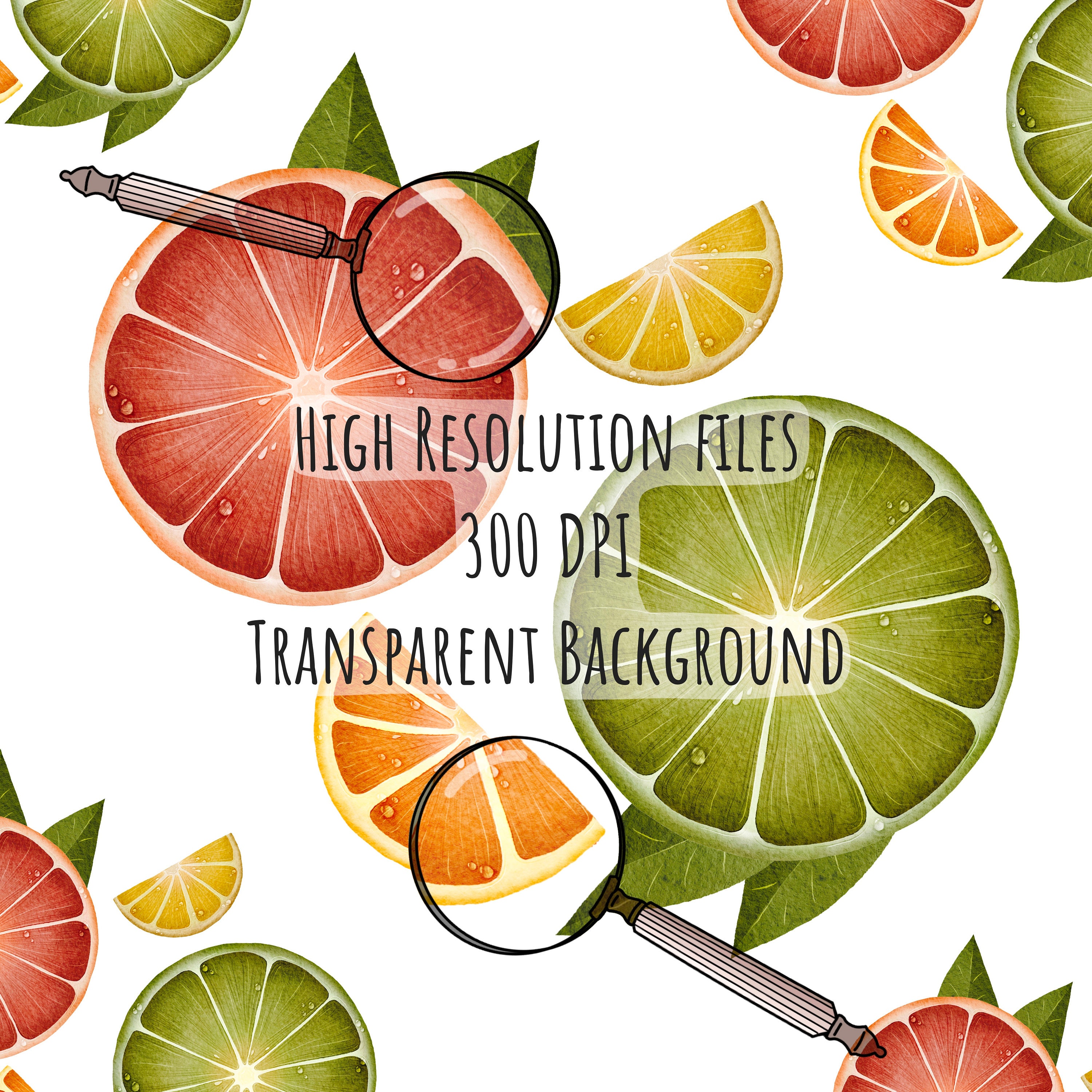 Watercolor Citrus Clipart, Lemon Fruit Illustration, Grapefruit Artwork ...