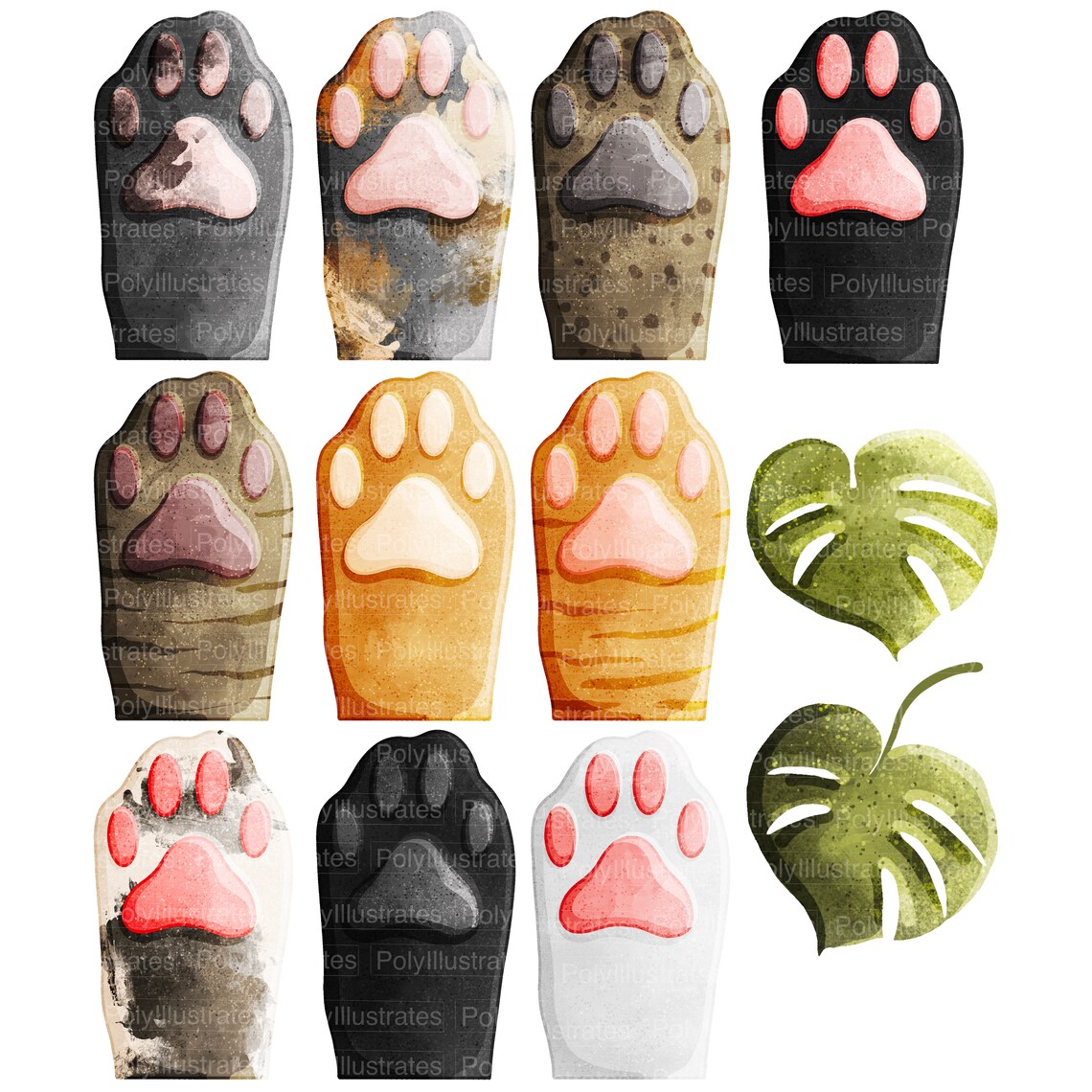 Cute Cat Paws Clipart, Digital Feline Illustration, Kitty Paws Images ...