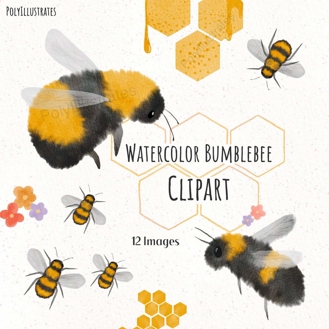 Watercolor Bee Clipart, Bumblebee Watercolor Artwork, Pollinator ...