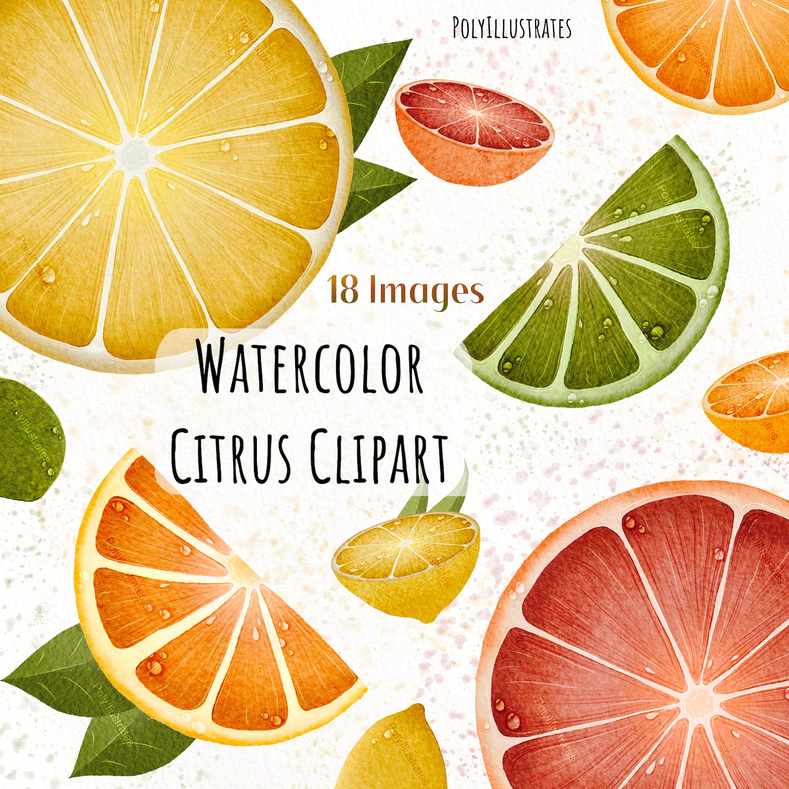 Watercolor Citrus Clipart, Lemon Fruit Illustration, Grapefruit Artwork ...