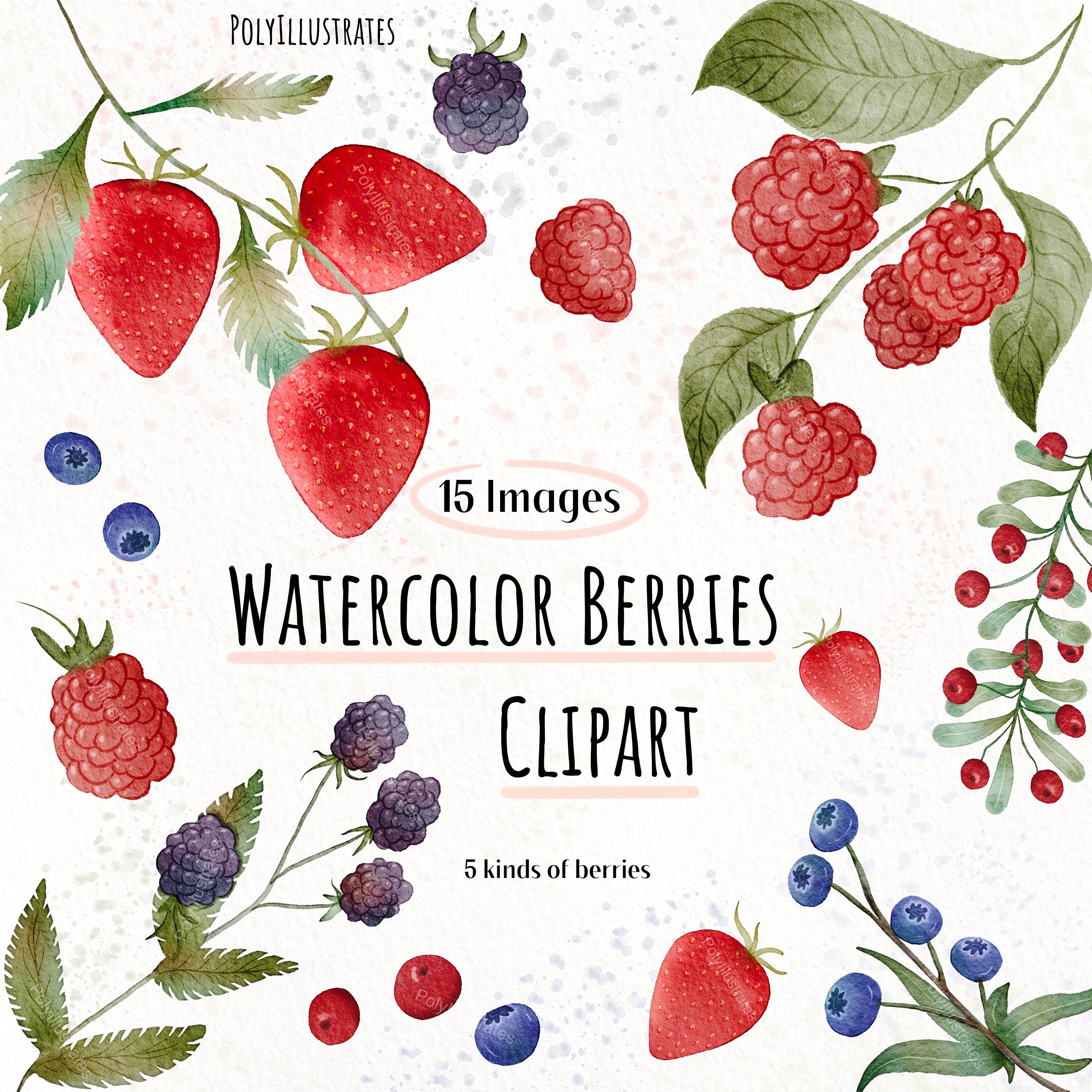 Berries Watercolor Clipart Strawberry Fruit Illustration - Etsy