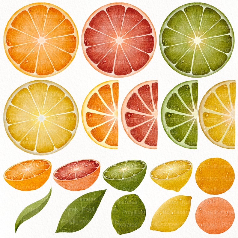 Watercolor Citrus Clipart, Lemon Fruit Illustration, Grapefruit Artwork ...