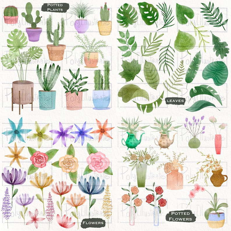 Watercolor Plants Flowers Clipart, Floral Artwork Set, House Plants ...
