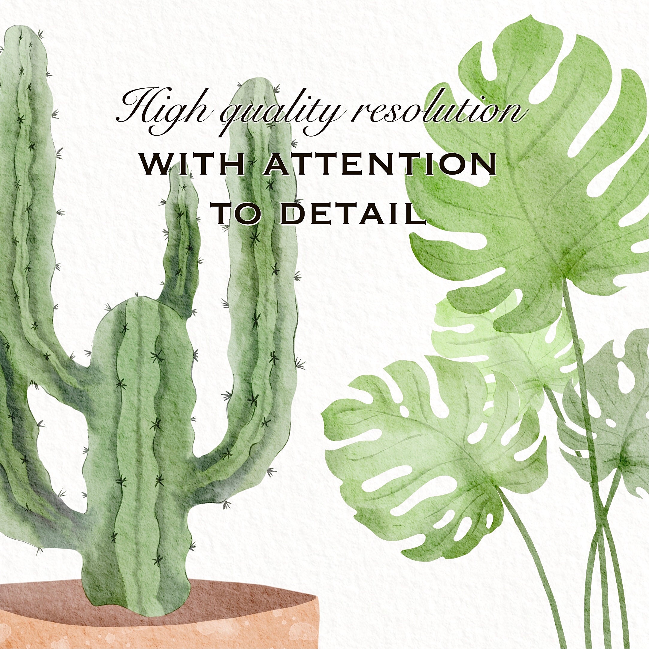 Watercolor Potted Plants Clipart, Indoor House Plants Art, Cactus ...