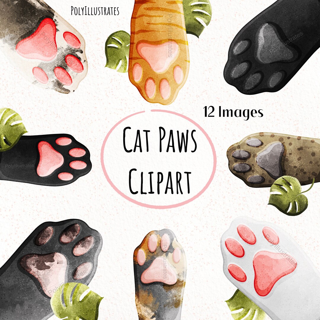 Cute Cat Paws Clipart, Digital Feline Illustration, Kitty Paws Images ...