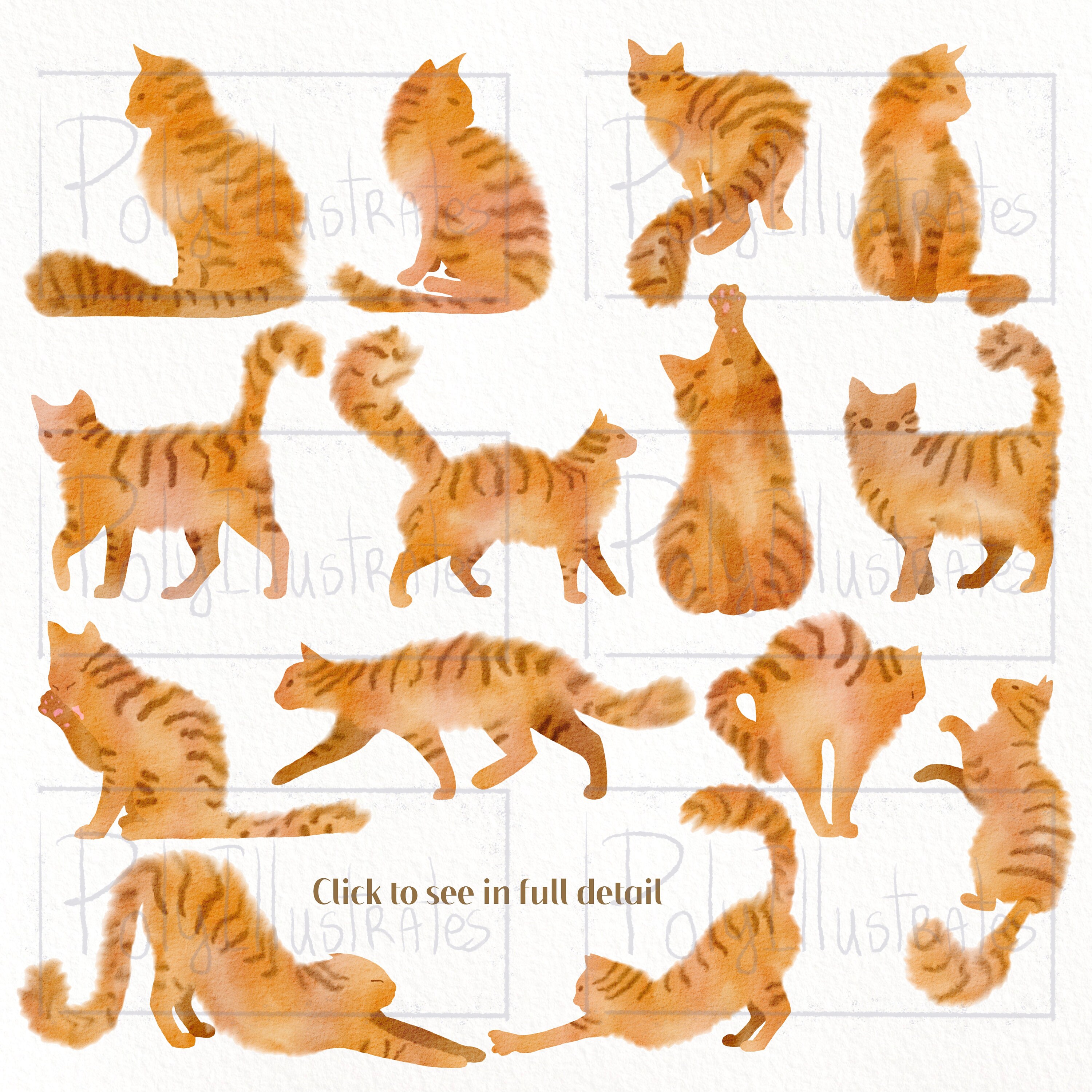 Watercolor Ginger Cats Clipart, Feline Pet Illustration, Orange Cat ...
