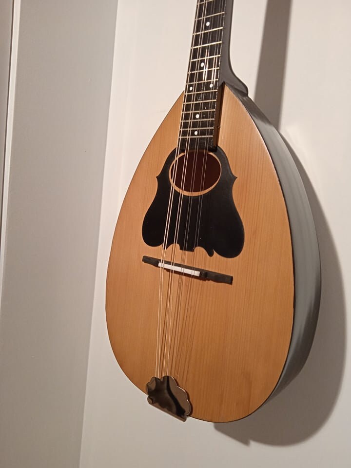 Bowl Back Mandolin for sale | Only 4 left at -70%