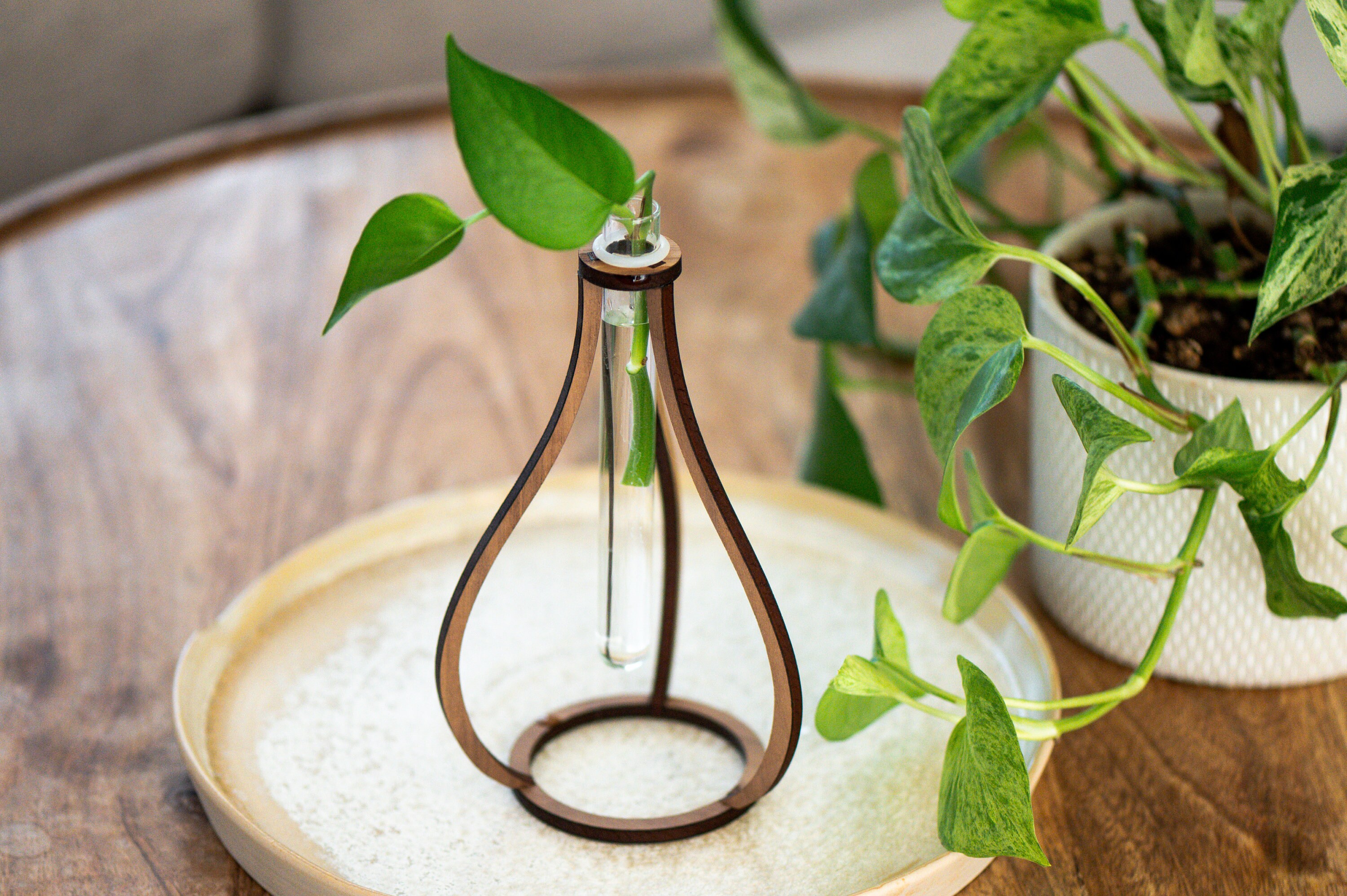 KIT: Minimalist Propagation Test Tube Station Kit Wood - Etsy