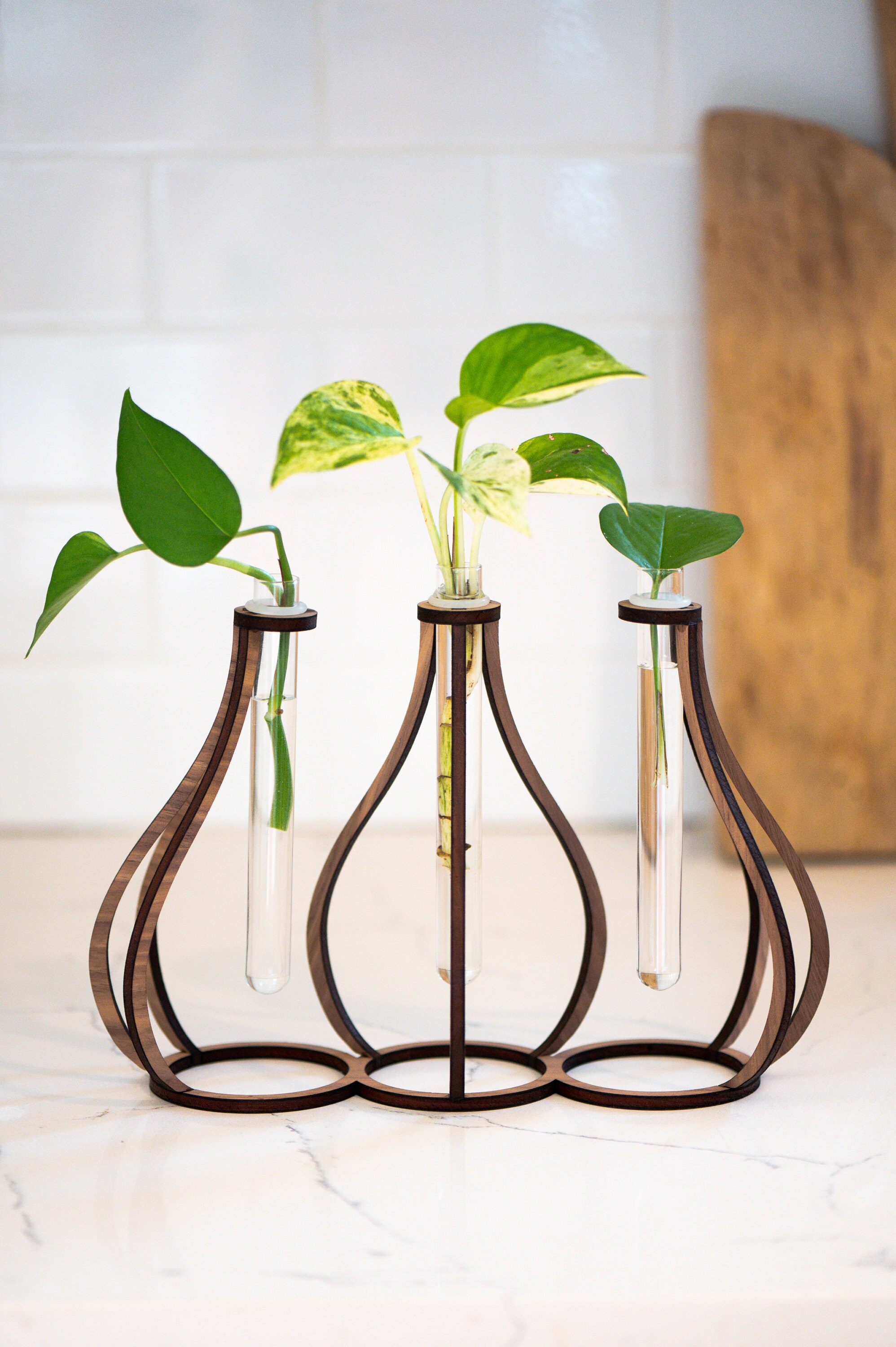 KIT: Minimalist Propagation Test Tube Station Kit Wood - Etsy