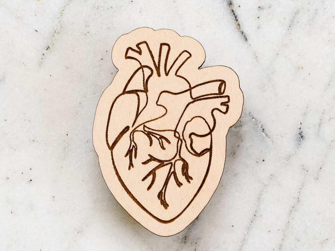 Heart Wood Magnet, Anatomic Heart Fridge Magnet, Anatomical Pin, Heart ...
