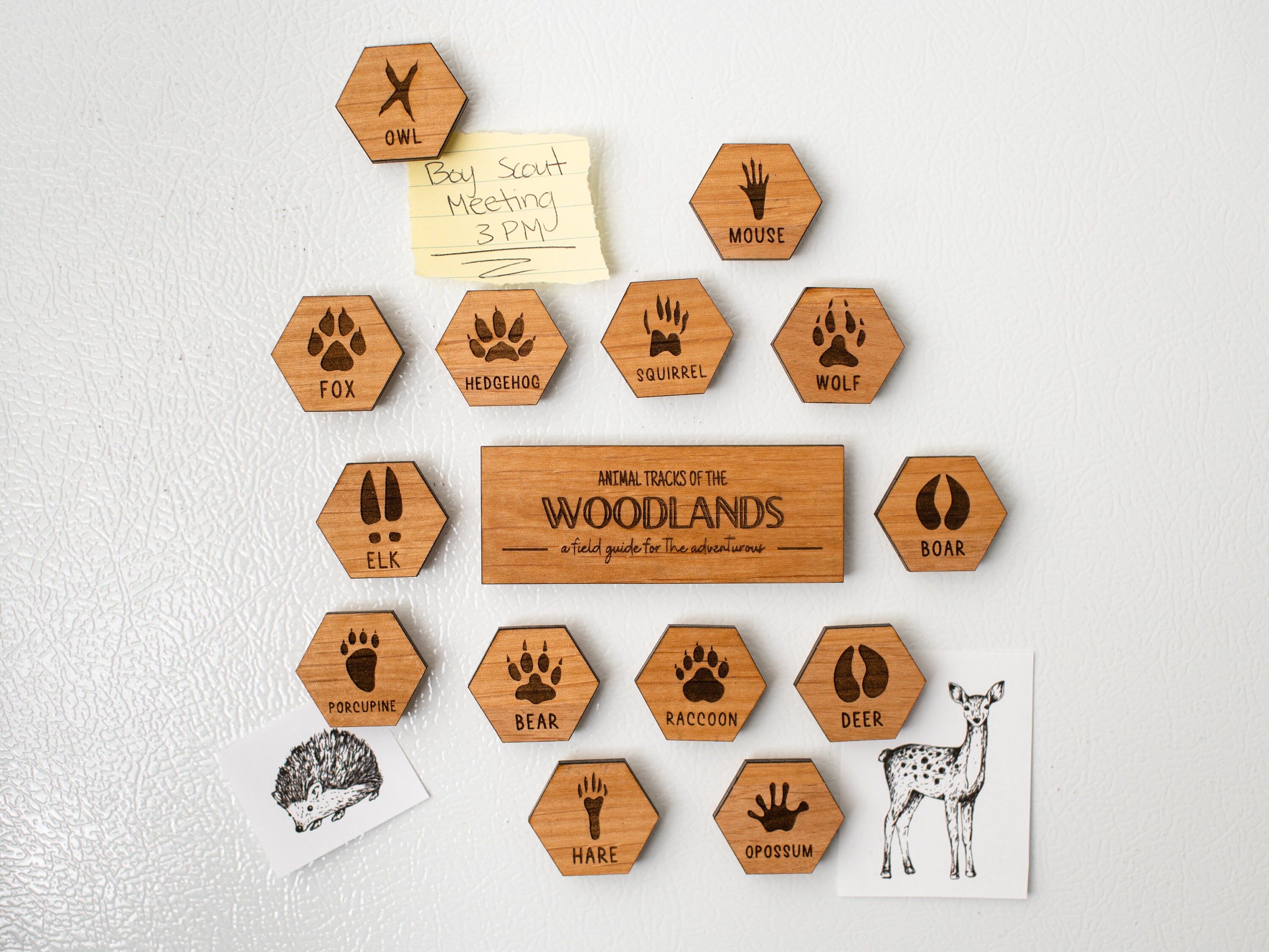 Animal Tracks Wood Magnet Set Woodland Animal Magnet Nursery - Etsy