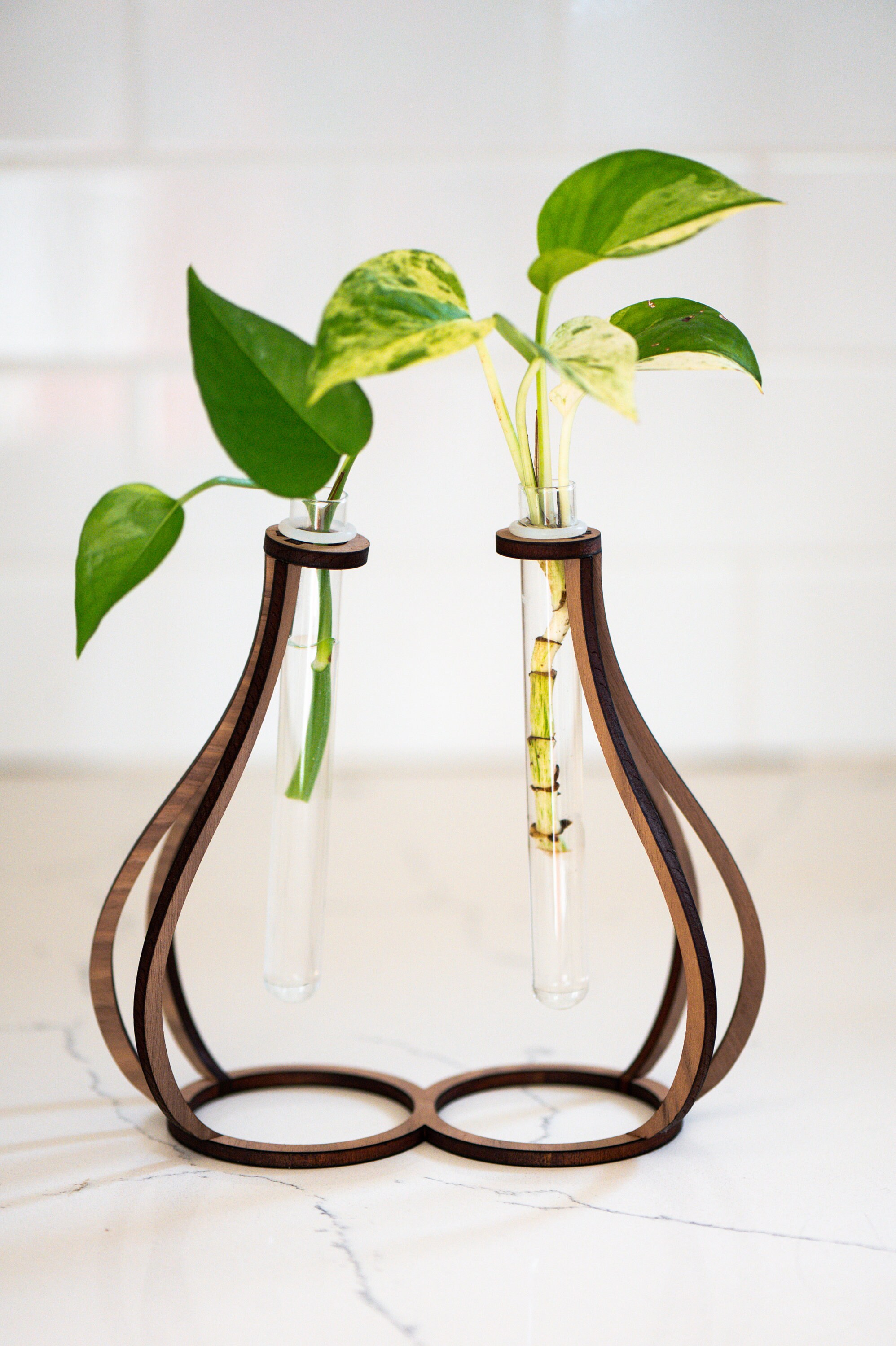 KIT: Minimalist Propagation Test Tube Station Kit Wood - Etsy