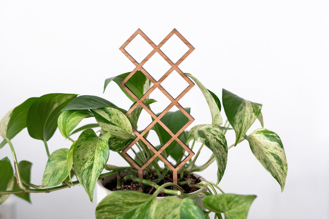 Geometric Plant Trellis, Indoor Plant Trellis, Climbing Plant Trellis ...